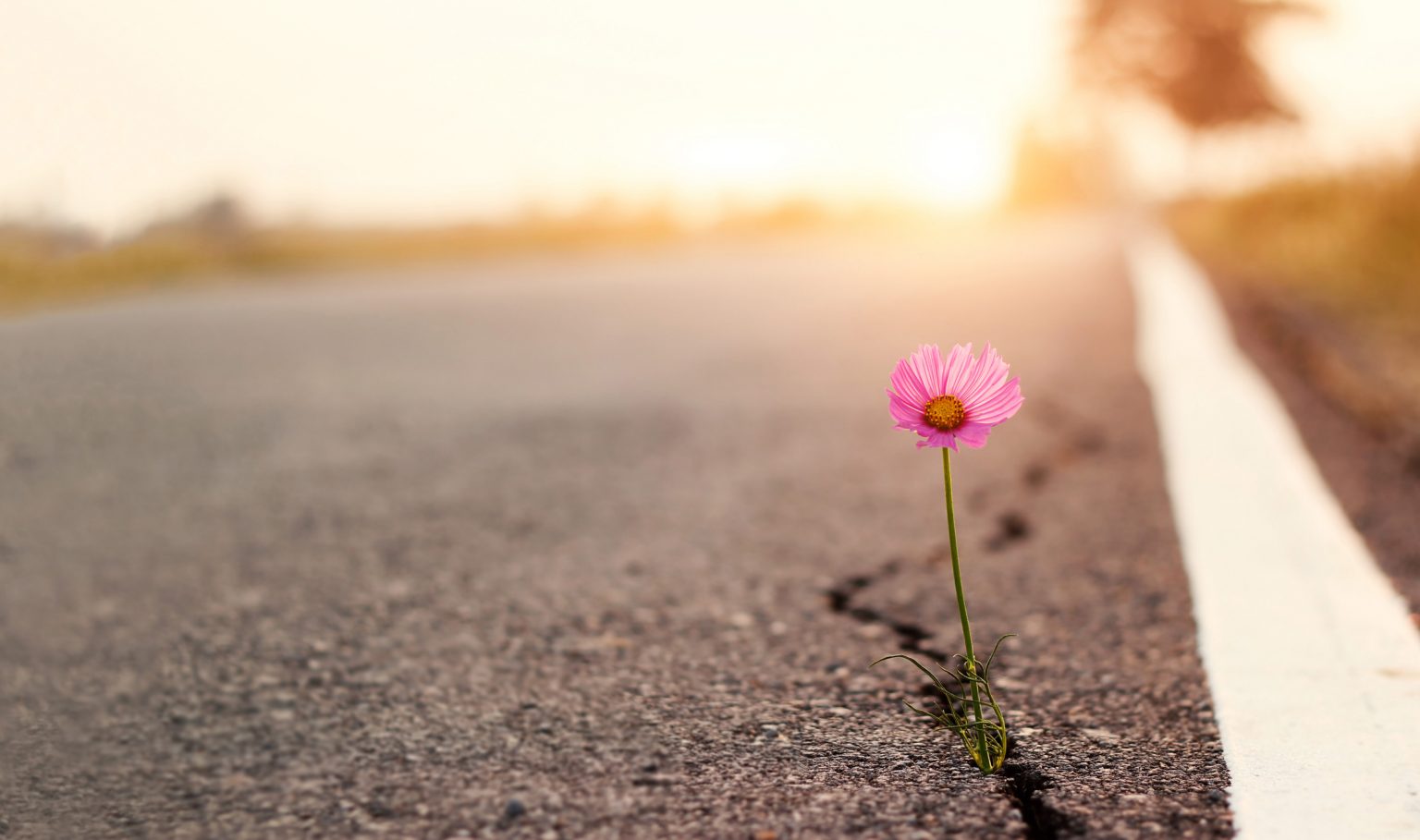 7 Days of Hope for Educational Freedom - Heartland Daily News