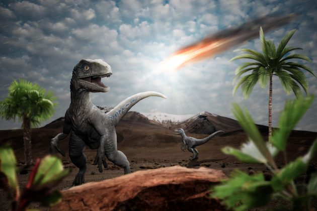 A Study Claims The Asteroid That Killed The Dinosaurs Did Not Create A ...